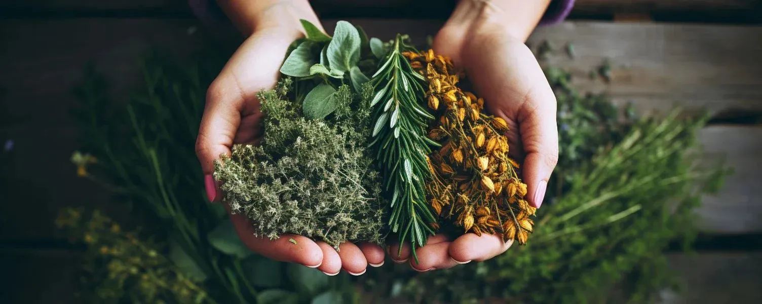 Rreth Nesh | Lo-Am Medicine